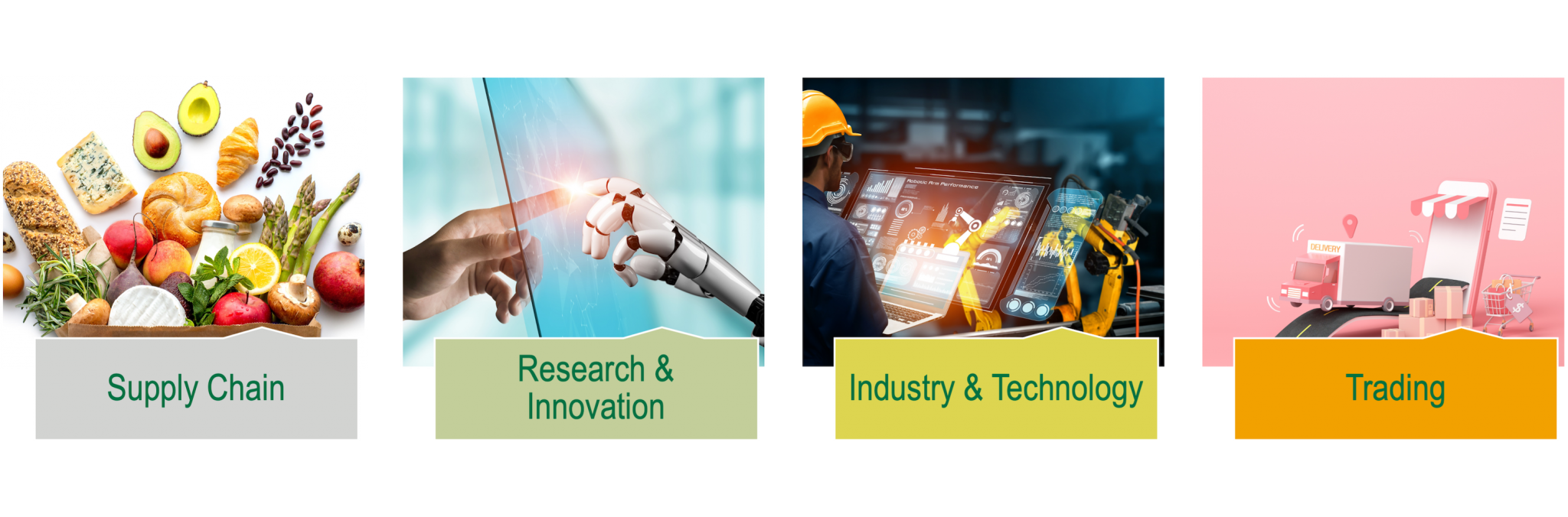 Exim Incubator | Markcert